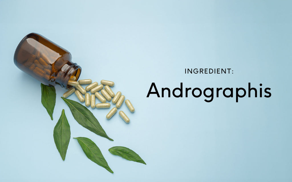 Learn About Andrographis in 5 Minutes | Feel - Wellness, Reimagined