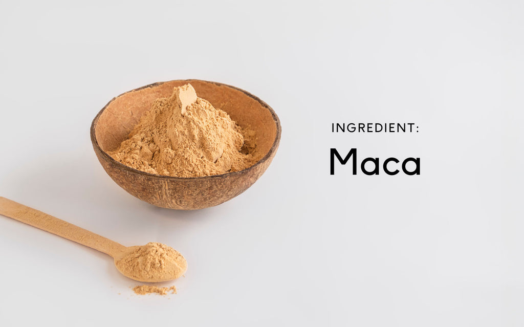 Learn About Maca in 5 Minutes | Feel - Wellness, Reimagined